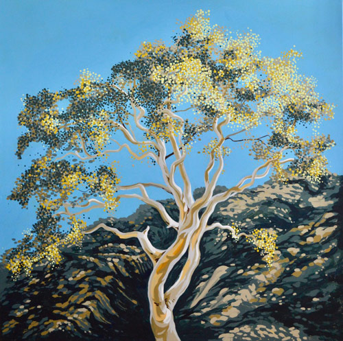 Gallery // Beverley Coleclough // Artist // Teacher // Puppeteer